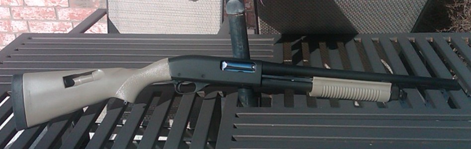 Smith and Wesson 3000 > Shotguns > AR15.COM